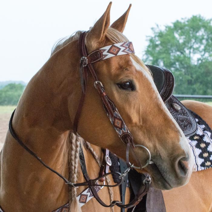 Western Tack – Absolute Horse